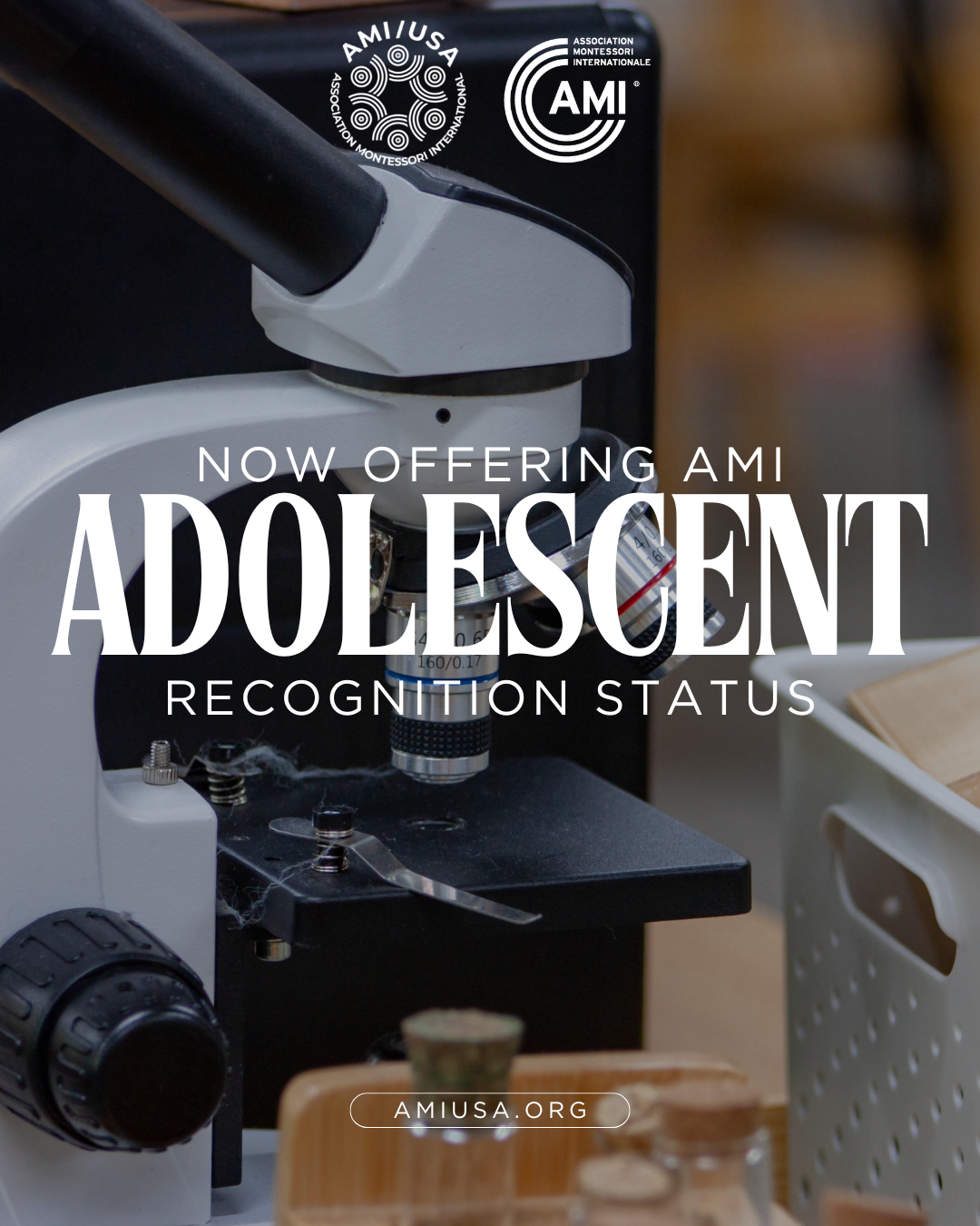 12-18 AMI Standards - Association Montessori International/USA